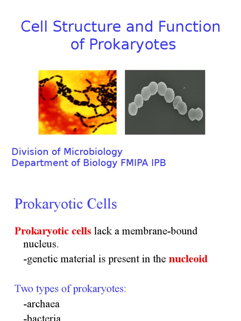 02 cell structure and function of prokaryotes (student).pptx | Cell ...