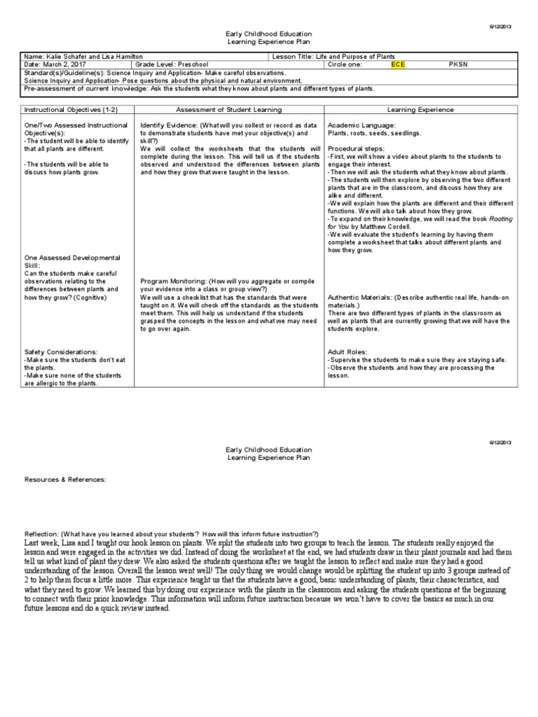 Edt 313 Hook Lesson Plan | PDF | Early Childhood Education | Quality Of ...