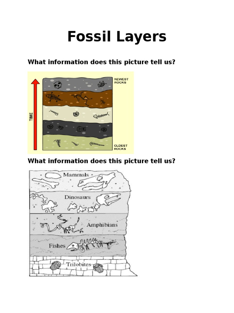 Fossil Layers | PDF