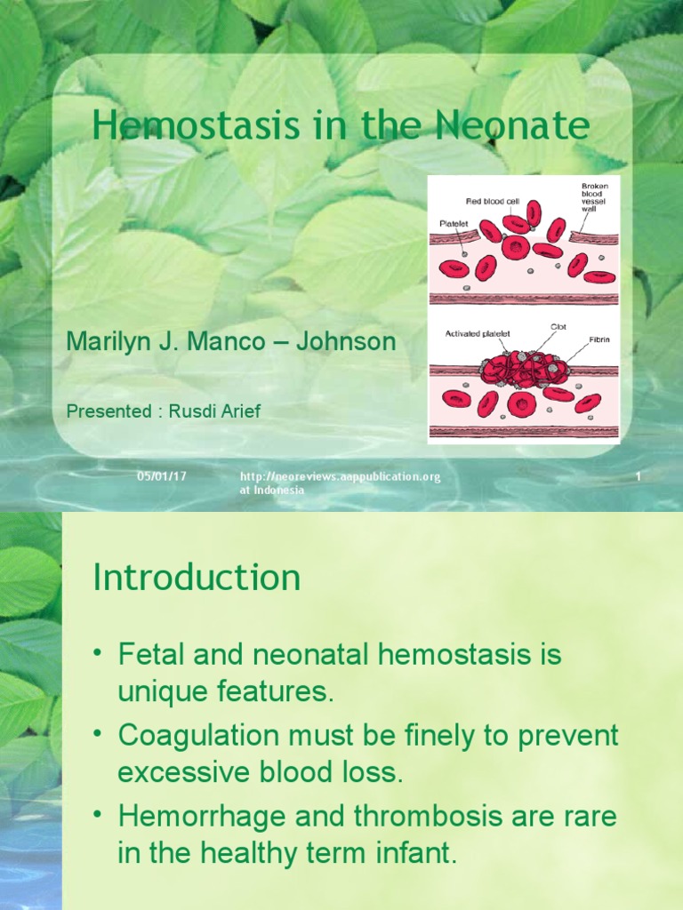 Hemostasis in The Neonate | PDF | Coagulation | Hemostasis