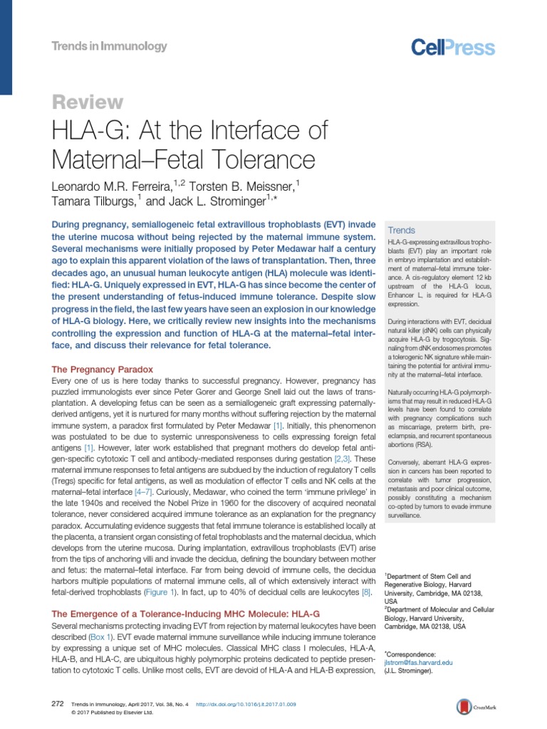 HLA G at The Interface of Maternal Fetal Tolerance - 2017 - Trends in ...