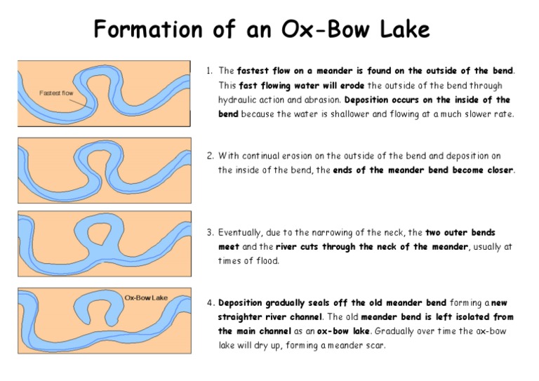 Ox-Bow Lake Handout 1 | PDF | Art | Science & Mathematics