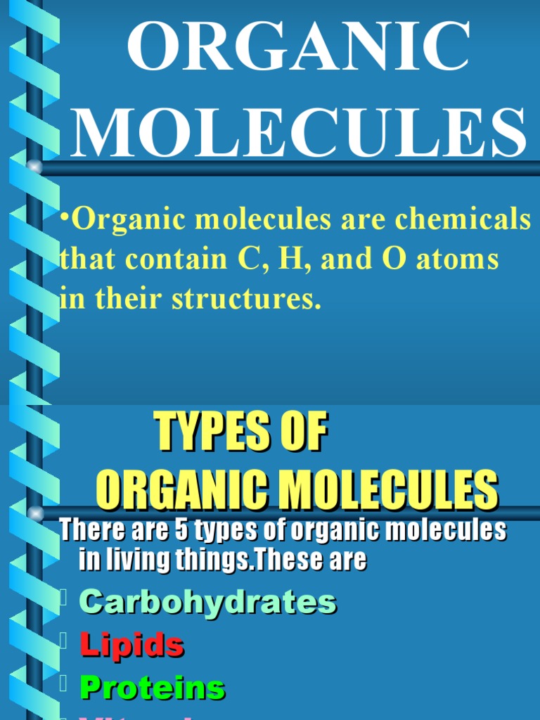 Types and Functions of Organic Molecules | PDF | Rna | Nucleotides