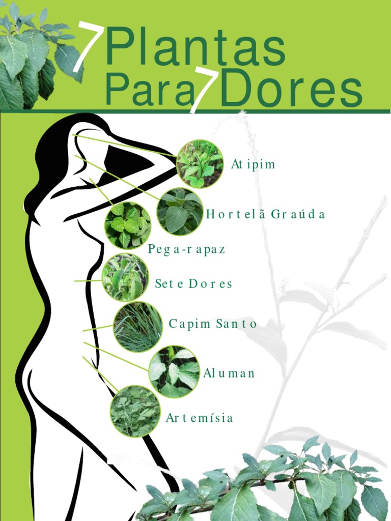 7 Plantas para 7 Dores | PDF | Óleo essencial | Dor