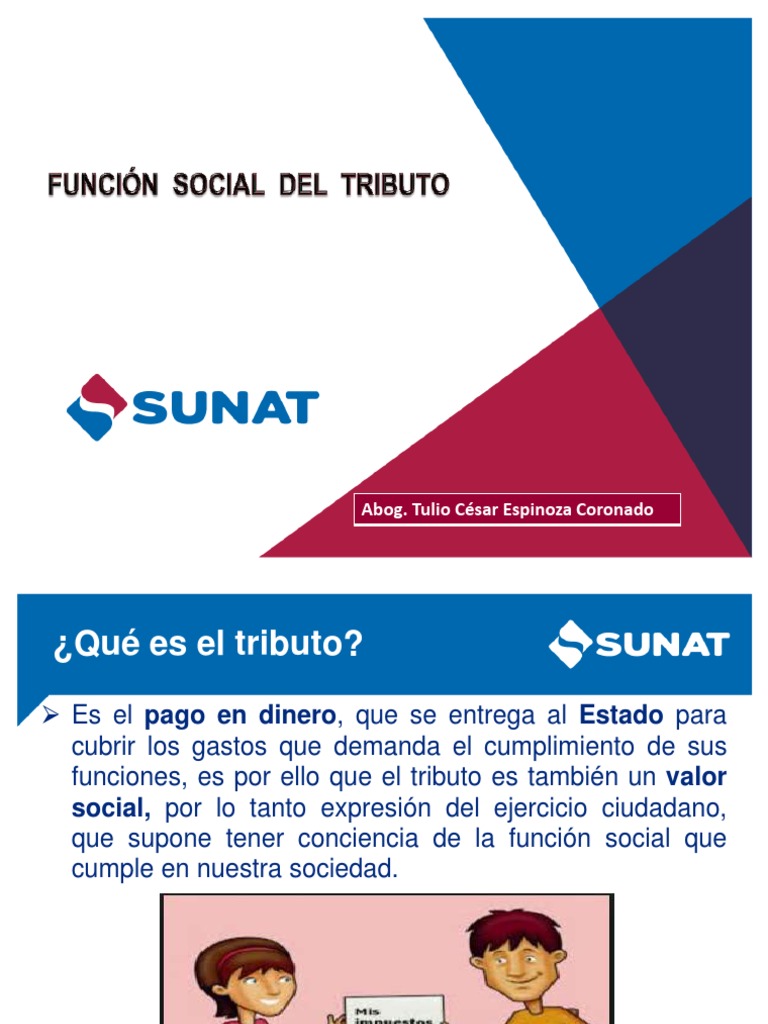 Función Social Del Tributo | PDF | Estado (política) | Impuestos