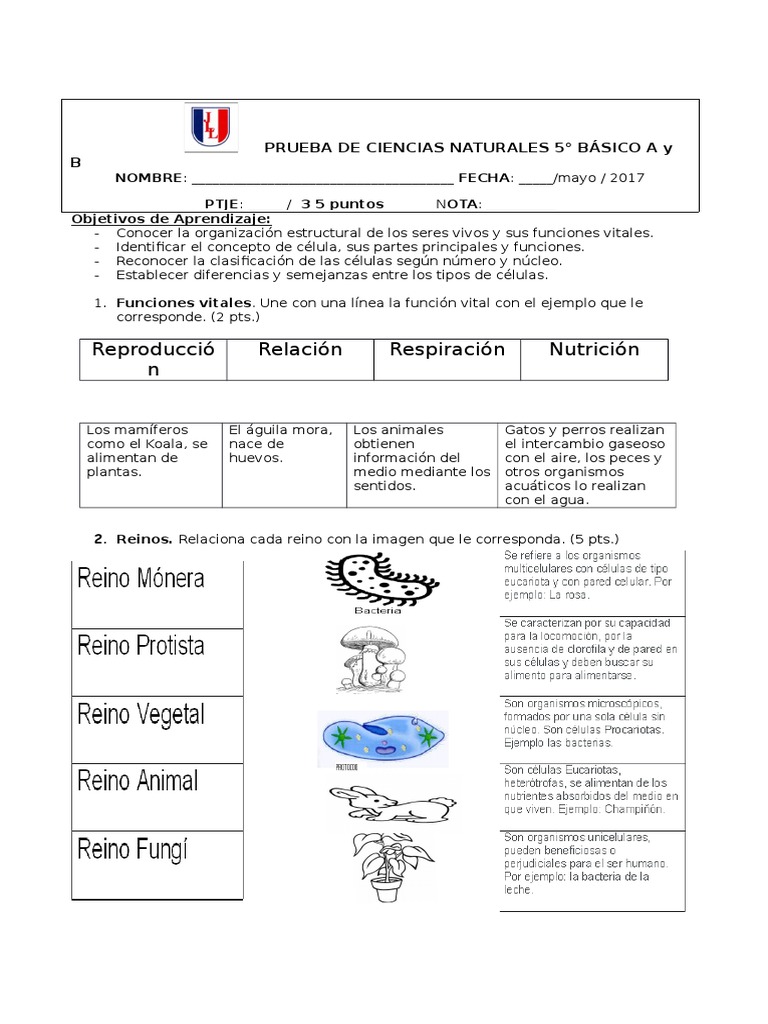 Prueba de La Célula 5 y Funciones Vitales y Organizacion | PDF ...