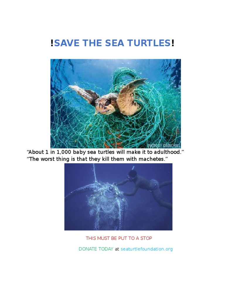 Save Endangered Sea Turtles Now | PDF | Wellness