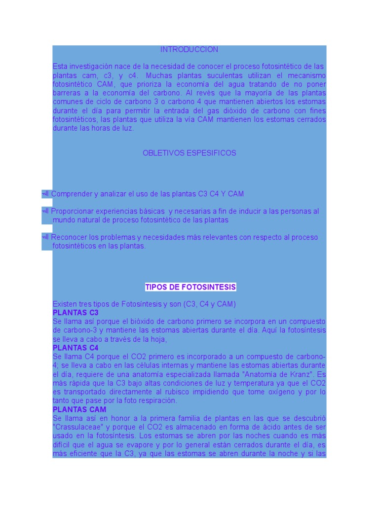Plantas C3 C4 y Cam | PDF | Fotosíntesis | Estoma