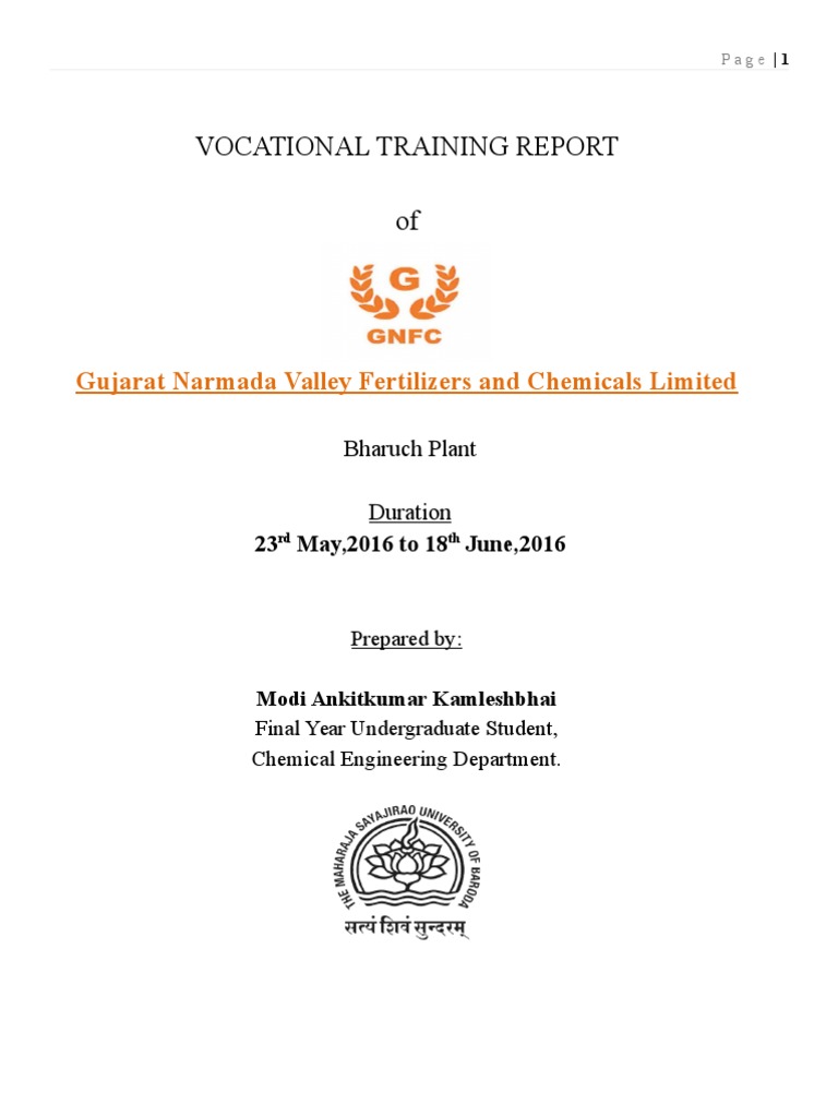 GNFC Project Rep | PDF | Methanol | Natural Gas