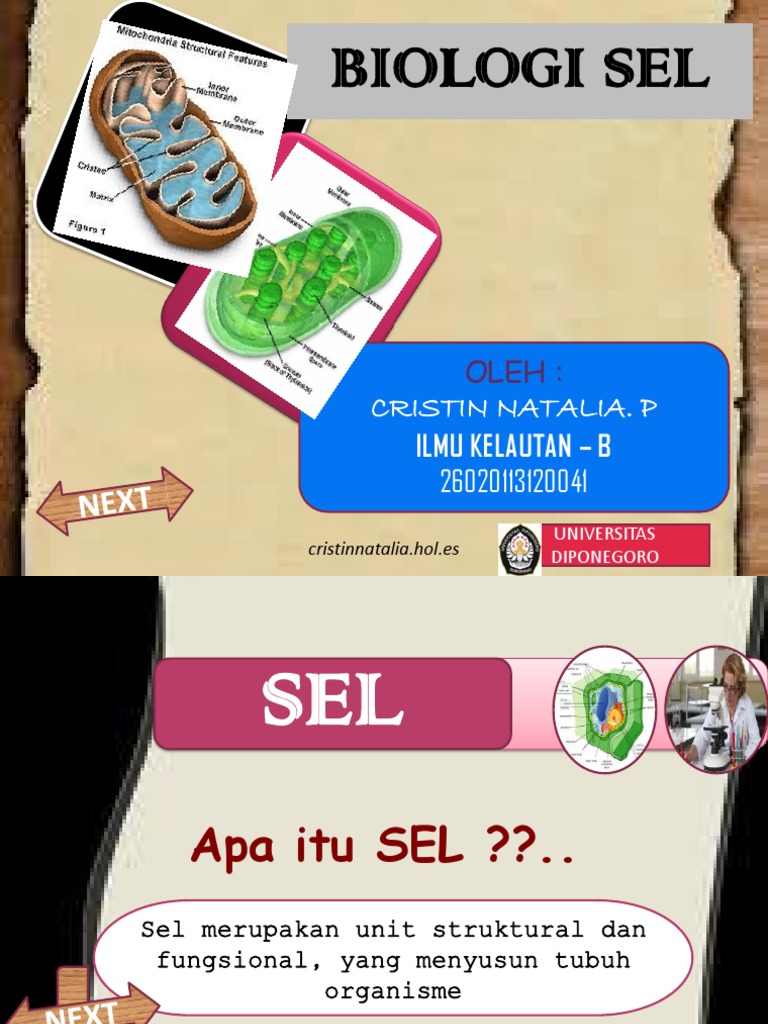 Biologi Sel PDF | PDF | Griya & Taman | Kesehatan Holistik