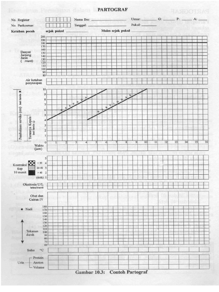 Lembar Partograf | PDF