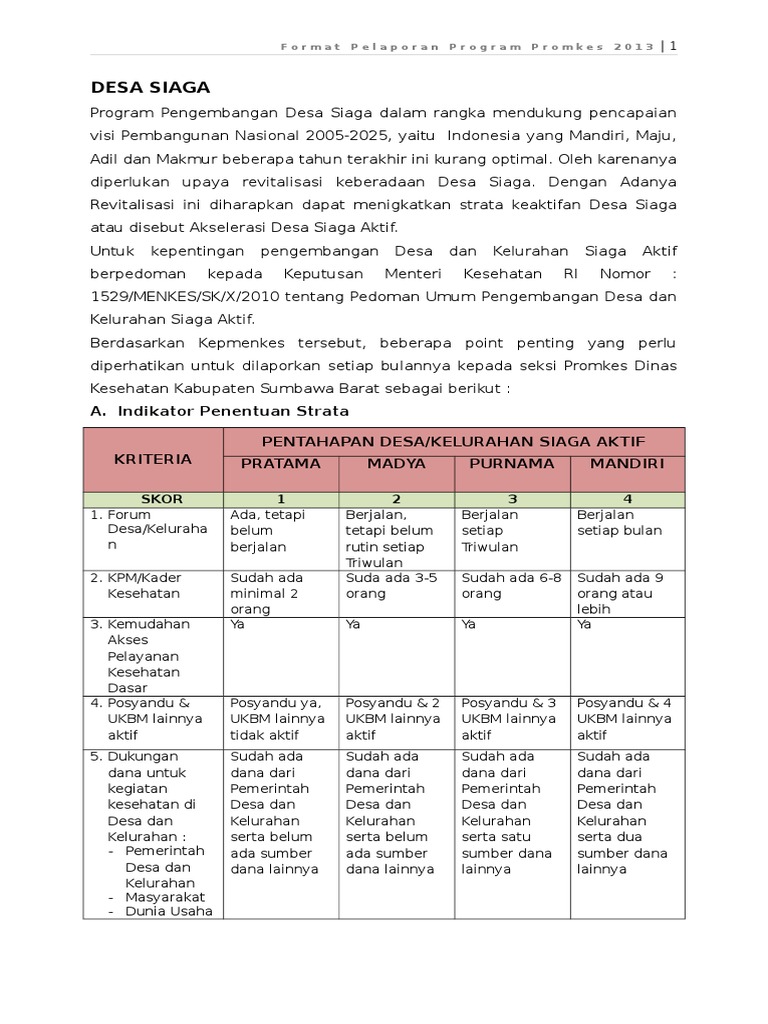 #Juknis Format Laporan Program Promkes | PDF