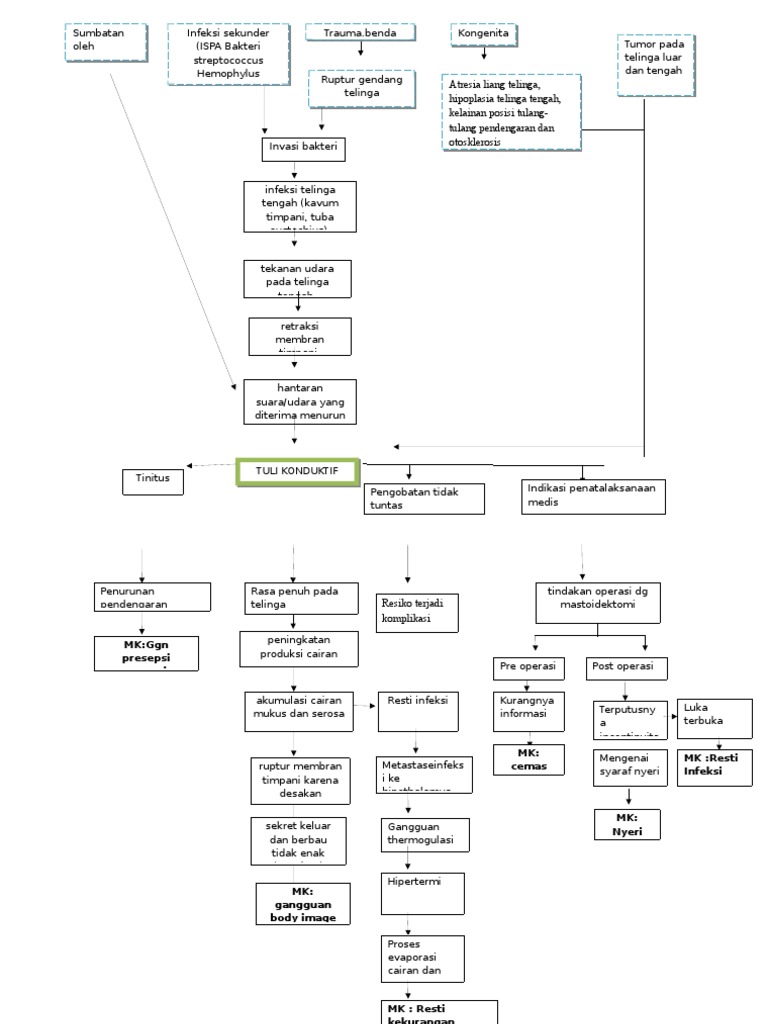Pathway Tuli Konduktif | PDF