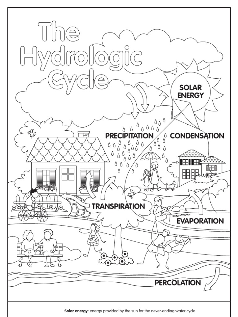 Coloring-Activity Sheet: Hydrologic Cycle | PDF
