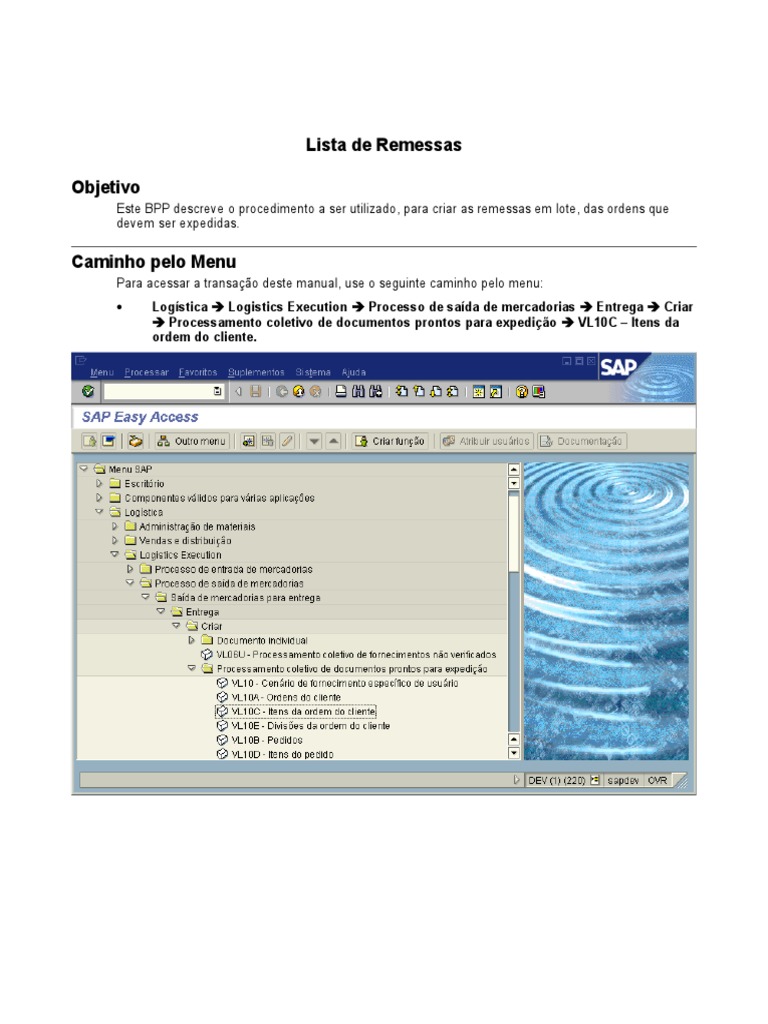 VL10C - Lista de Remessas | PDF | Informática | Programas