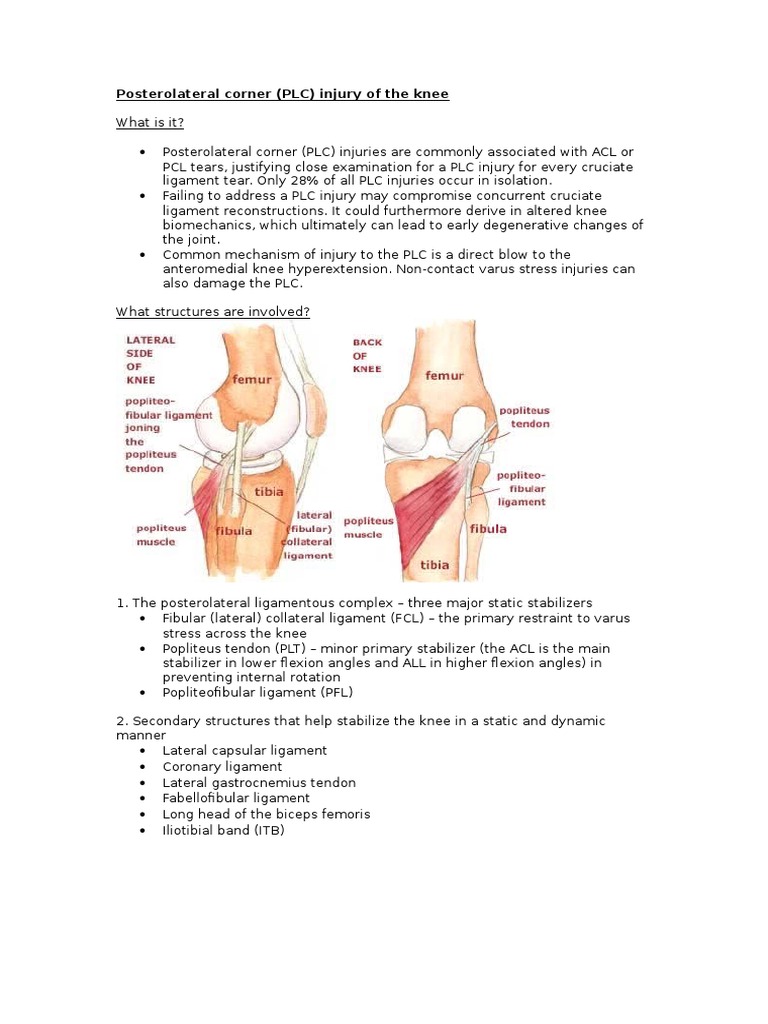 PLC Injury | Knee | Limbs (Anatomy)