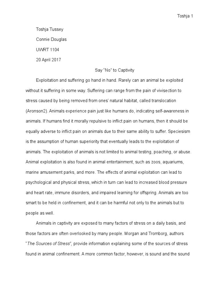Persuasive Essay Animal Captivity | PDF | Zoo | Dolphin