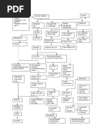 Pathway Hematothorax