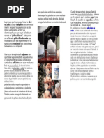 Triptico de MATHIAS | PDF | Pañal | Agua