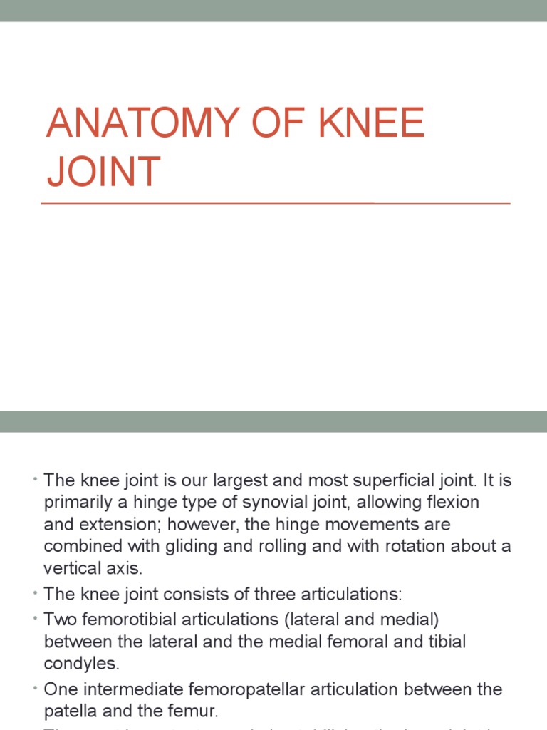 Anatomy of Knee Joint | PDF | Knee | Joints