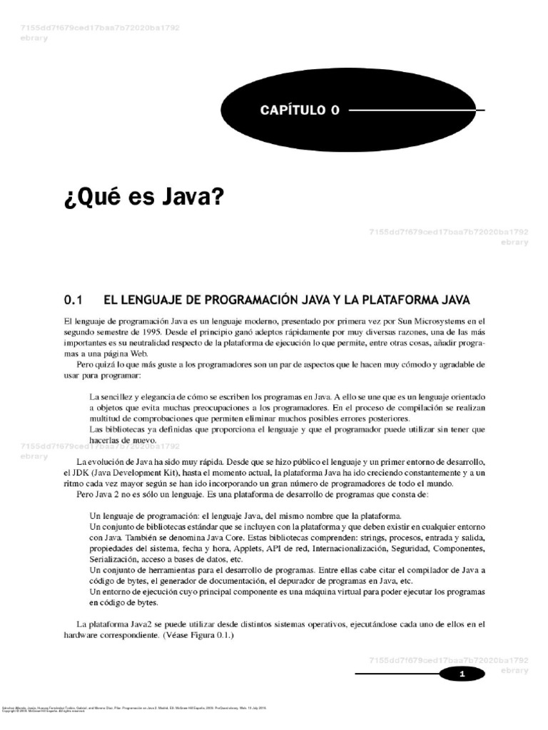 Programaci N en Java 2 | PDF | Java (lenguaje de programación) | Programa de computadora
