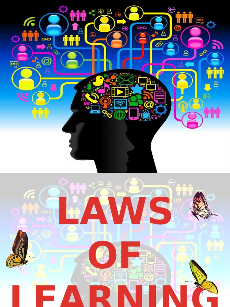 Thorndike's Laws of Learning Explained | PDF | Learning | Teaching