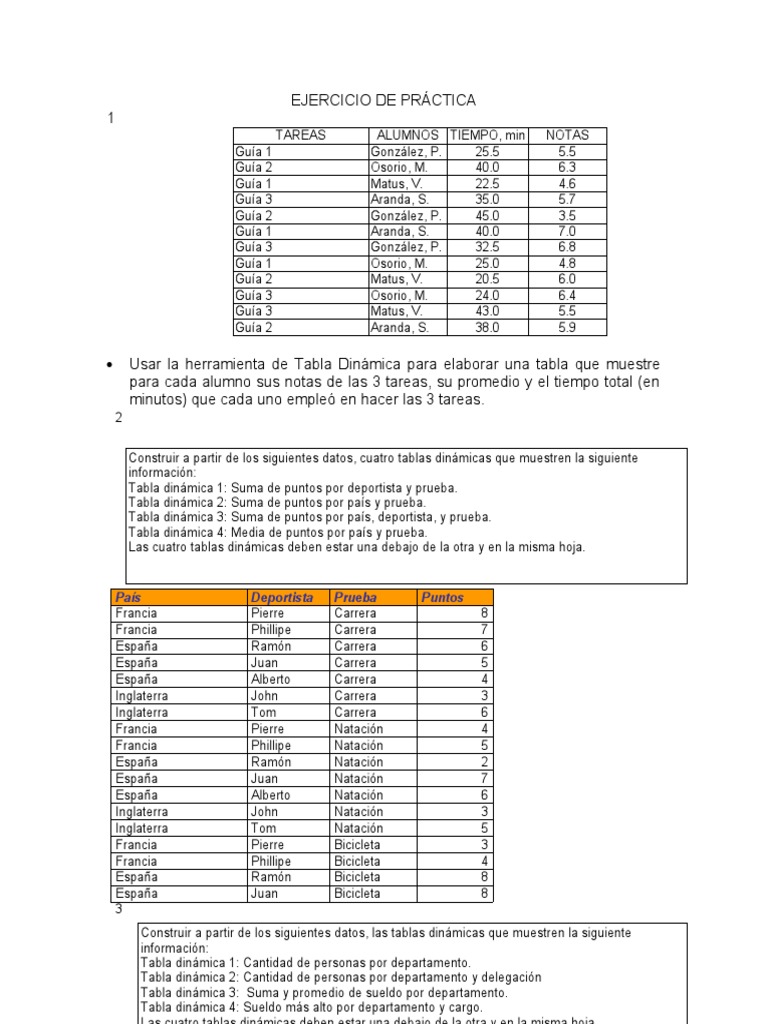 EJERCICIO Tabla Dinamica | PDF