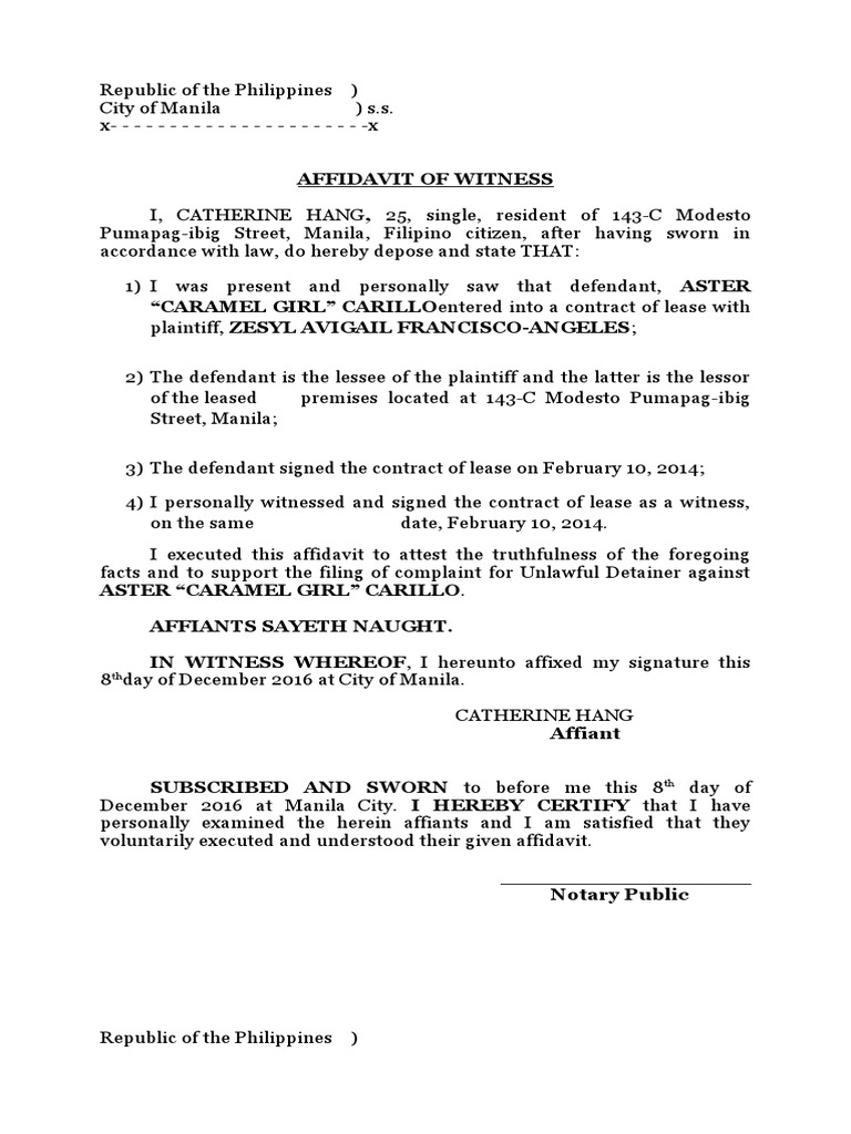 FINALAffidavit of Witness | Affidavit | Document