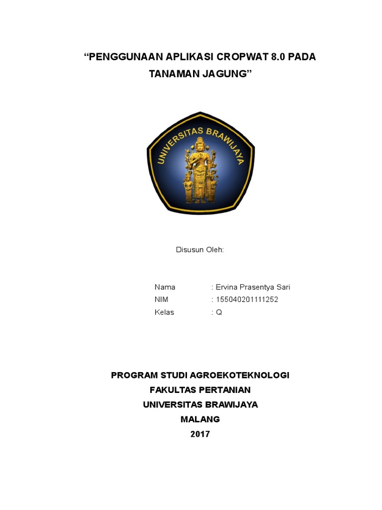 Aplikasi Cropwat 8.0 untuk Jagung | PDF | Kesehatan Holistik