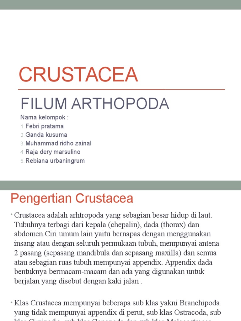 Morfologi dan Taksonomi Crustacea | PDF