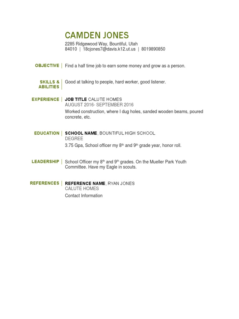 Camden Jones: Objective | PDF