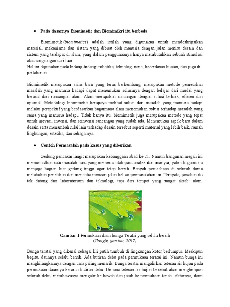 Prinsip Dan Cara Kerja Biomimetik, Biomimikri | PDF