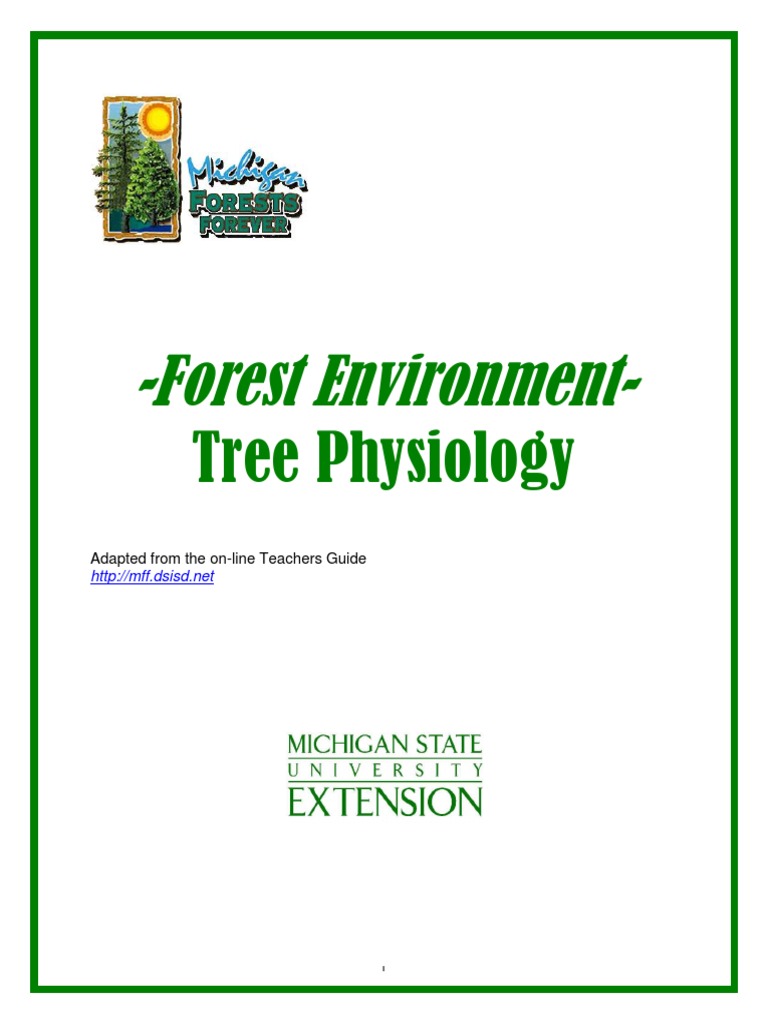 Forest Environment-: Tree Physiology | PDF | Trees | Root