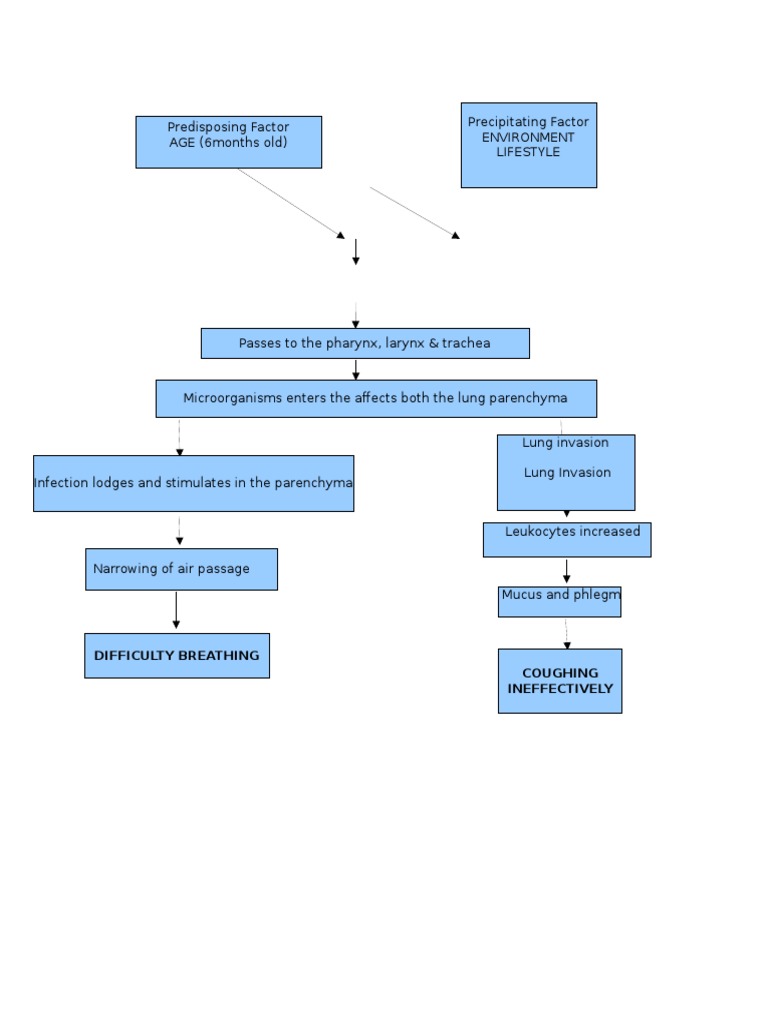 Pcap Pathophysiology | PDF | Respiratory Tract | Lung