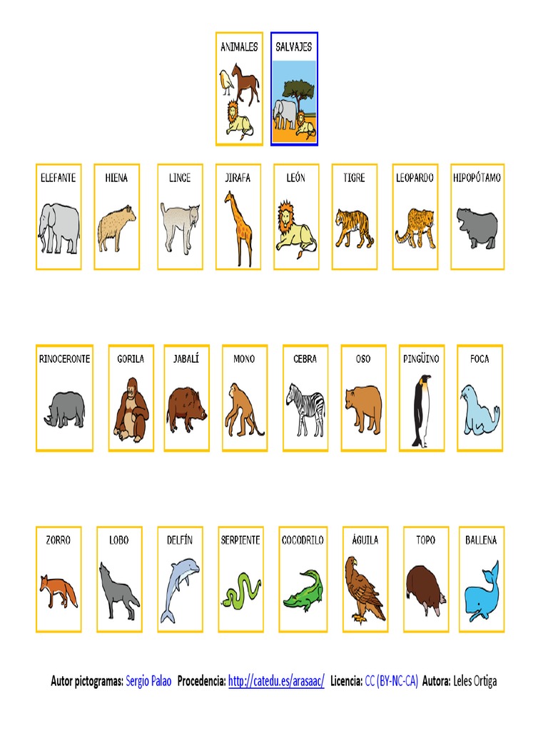 ANIMALES SALVAJES Vocabulario PDF | PDF