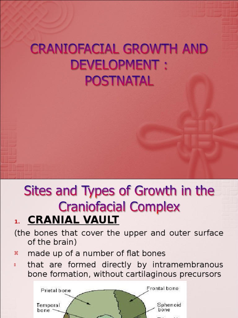 Craniofacial Growth and Development Postnatal | PDF | Skull | Bone