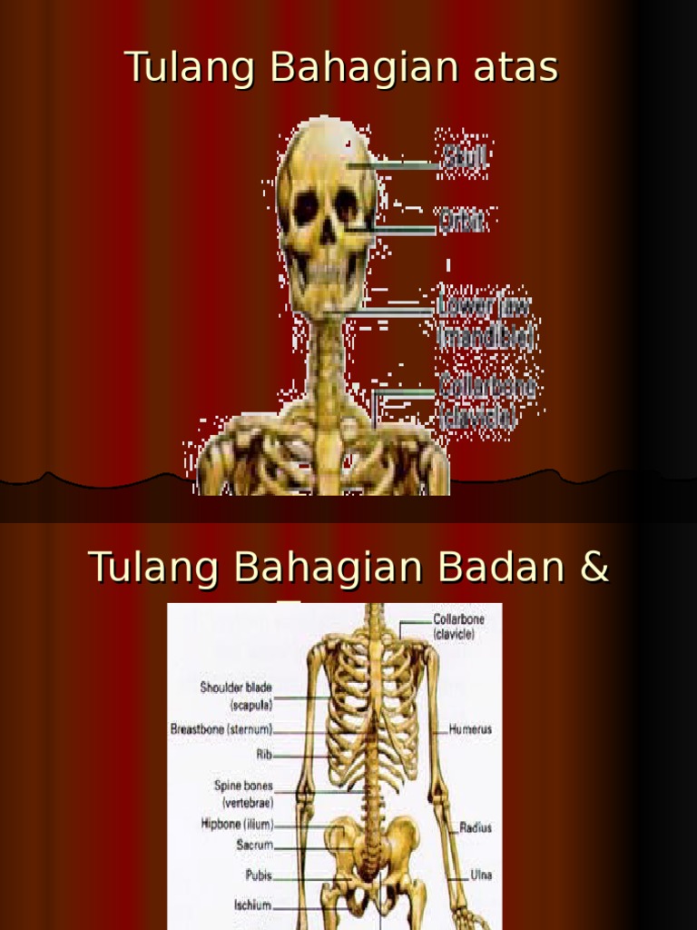 Kecederaan & Kepatahan Tulang2 | PDF