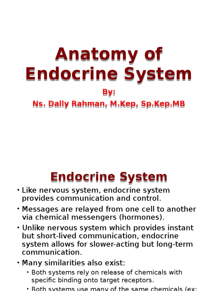 Review Anatomy of Endocrine System | PDF | Endocrine System | Hormone