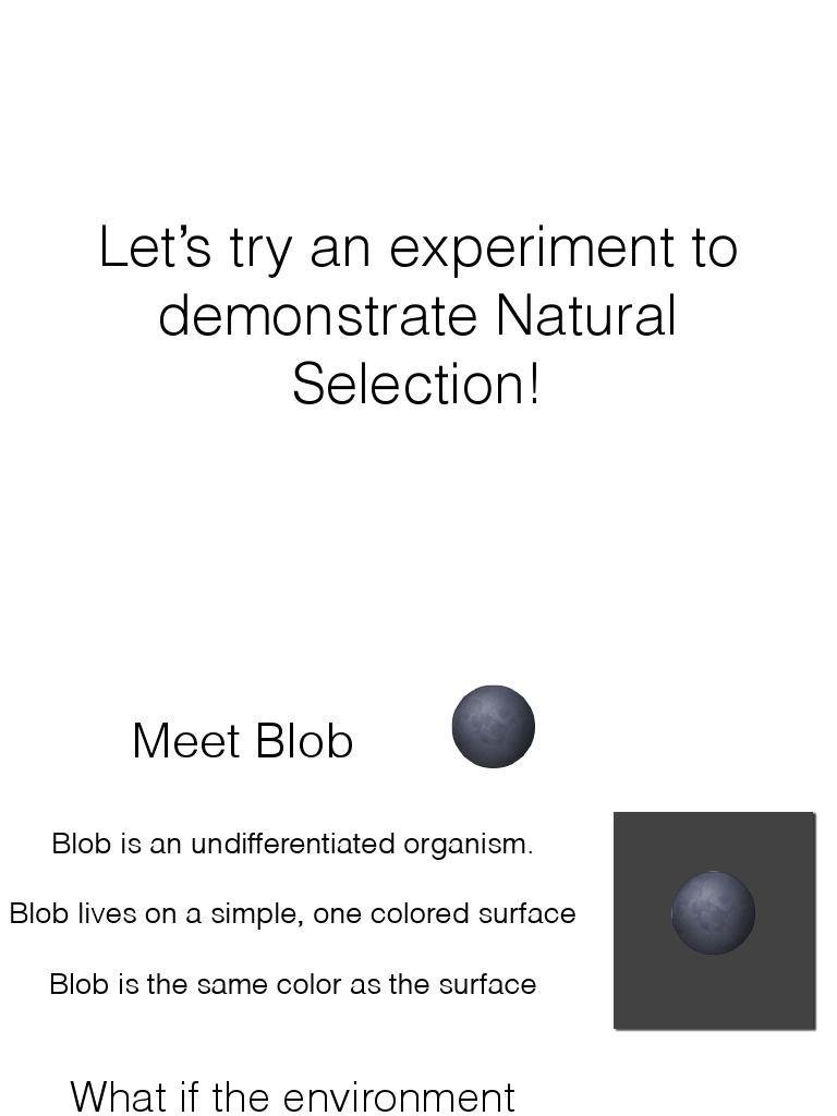 Natural Selection Experiment Guide | PDF