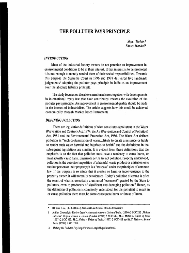 Understanding the Polluter Pays Principle | PDF