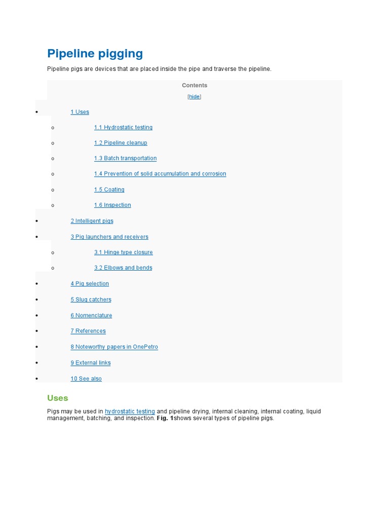 Pipeline Pigging | PDF | Pipeline Transport | Pipe (Fluid Conveyance)