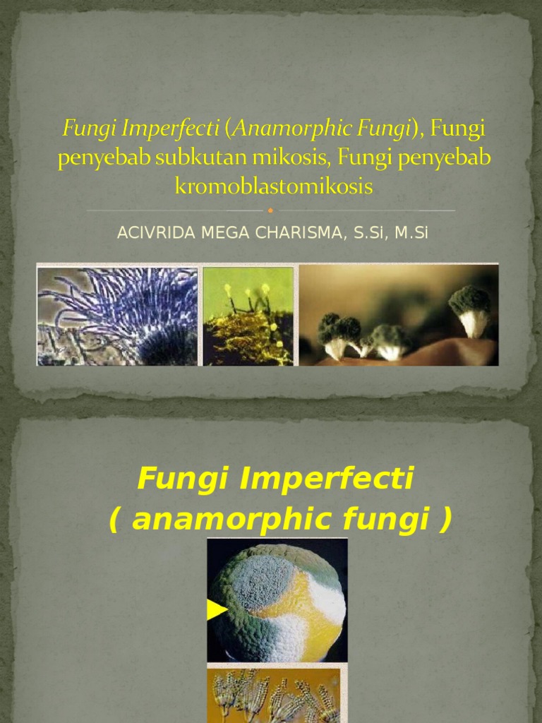 Fungi Imperfecti: Pengertian dan Contoh | PDF