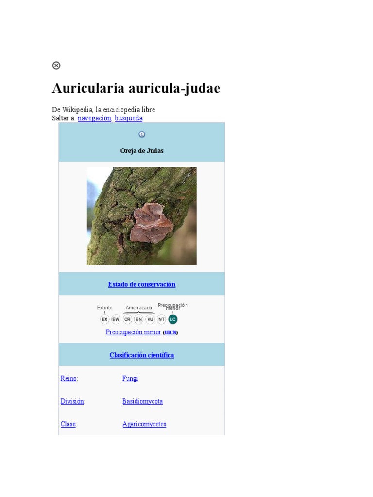 Propiedades y Usos de la Oreja de Judas | PDF | Hongo | Organismos