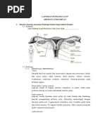 LP Abortus Inkomplit | PDF