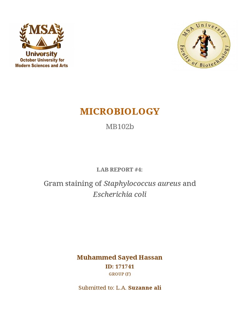 Report: Gram Staining of Staphylococcus Aureus and Escherichia Coli ...
