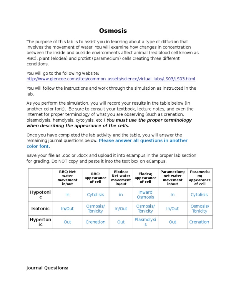 Osmosis Lab | PDF | Osmosis | Life Sciences