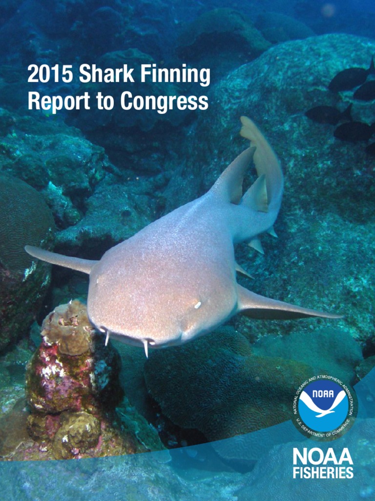 Shark Finning Report 2015 | PDF | Sharks | Elasmobranchii