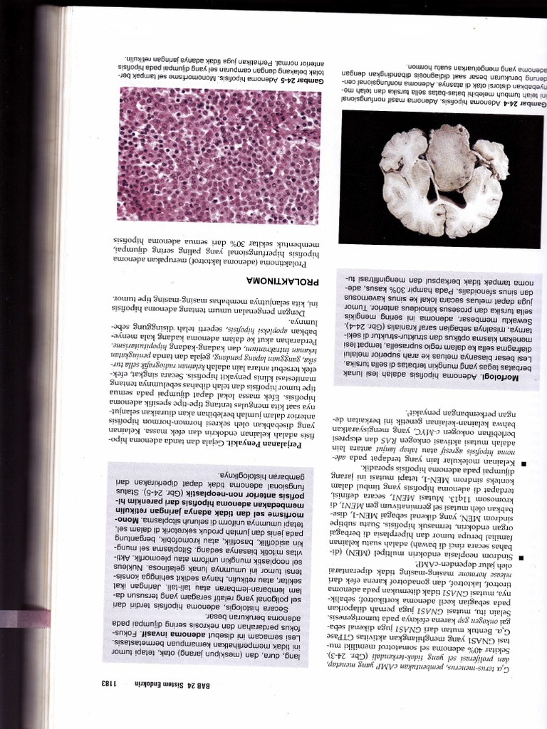 Tlfill:, Oiiir"q | PDF