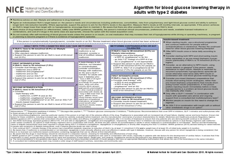 Algorithm for Blood Glucose Lowering Therapy in Adults With Type 2 ...