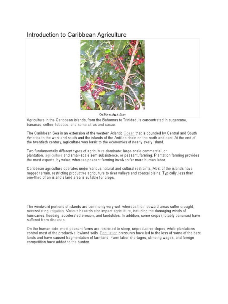 Introduction To Caribbean Agriculture | PDF | Caribbean | Sugarcane